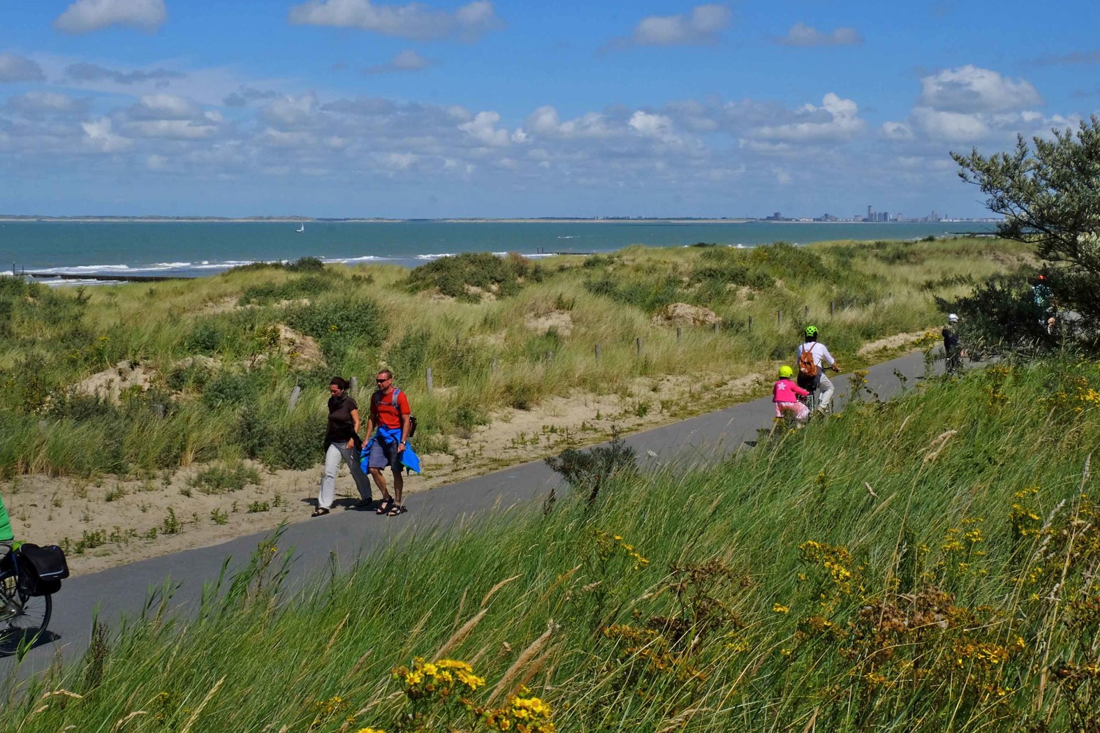 Fietsen & Wandelen | Strandcamping Groede